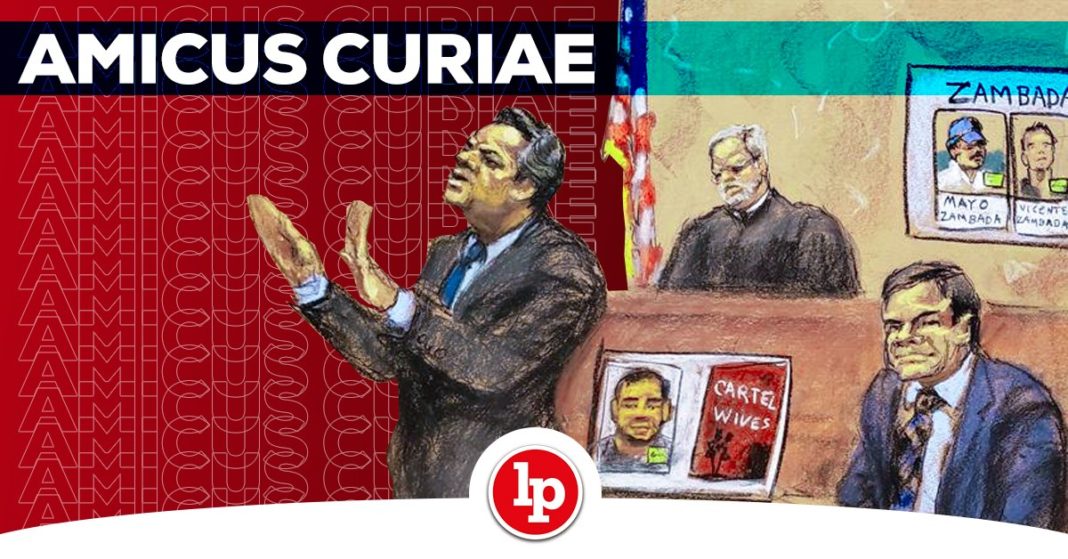 ¿Quién es y qué hace el «amicus curiae»? | LP
