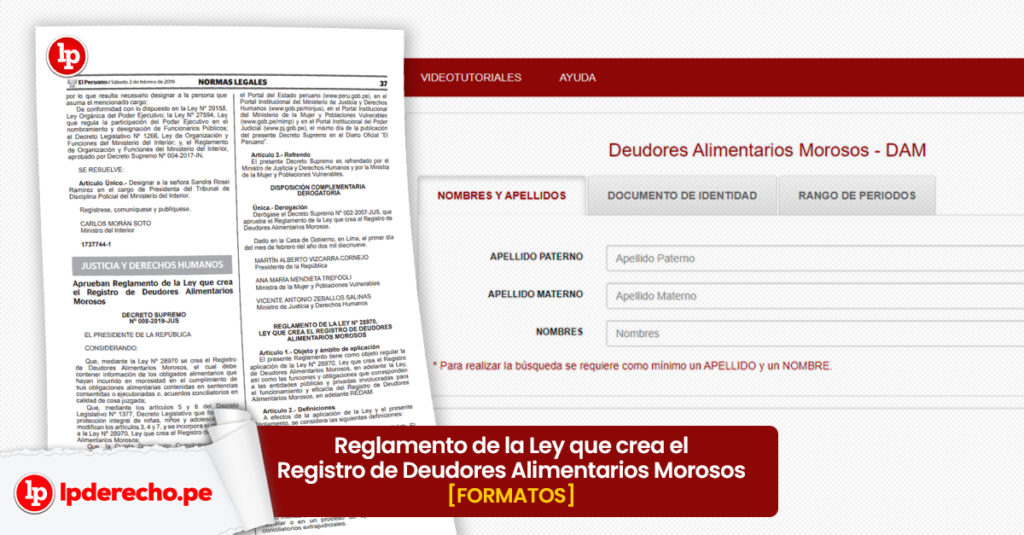 Reglamento de la Ley que crea el Registro de Deudores Alimentarios Morosos [FORMATOS] | LP