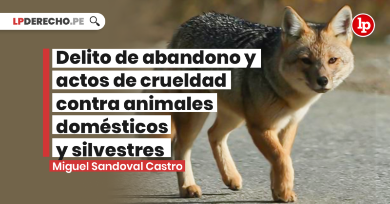 Delito de abandono y actos de crueldad contra animales domésticos y ...