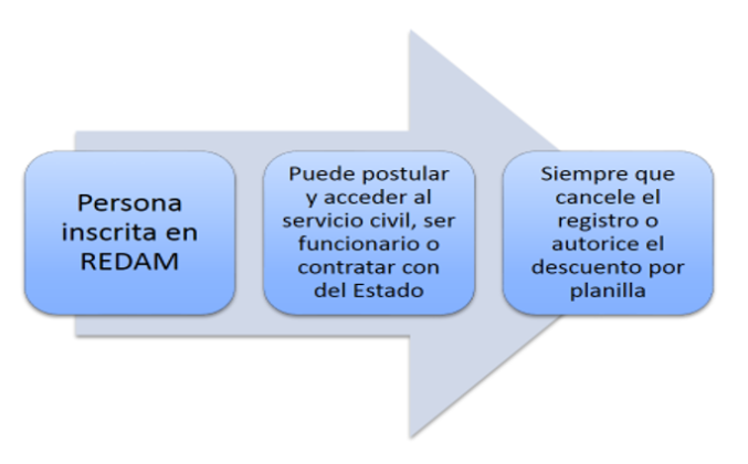 Redam: ¿qué es y cómo funciona el Registro de Deudores Alimentarios ...