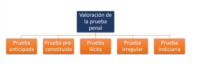 ¿Qué es la «prueba ilícita» y la «prueba irregular»? (teoría del fruto ...