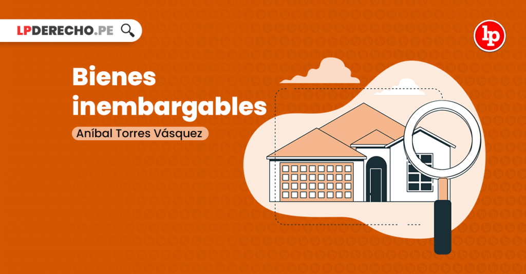 ¿Cuáles son los «bienes inembargables»? Bien explicado por Aníbal ...