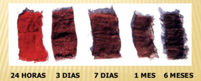 [VÍDEO] Biología forense: ¿cómo examinar manchas de sangre en la escena ...