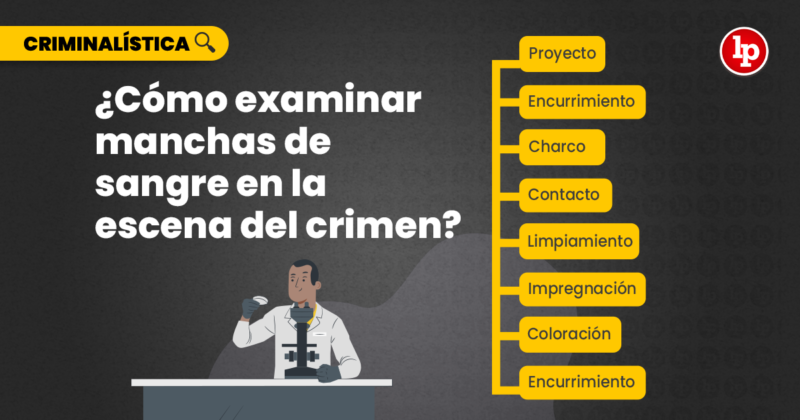 [VÍDEO] Biología forense: ¿cómo examinar manchas de sangre en la escena ...