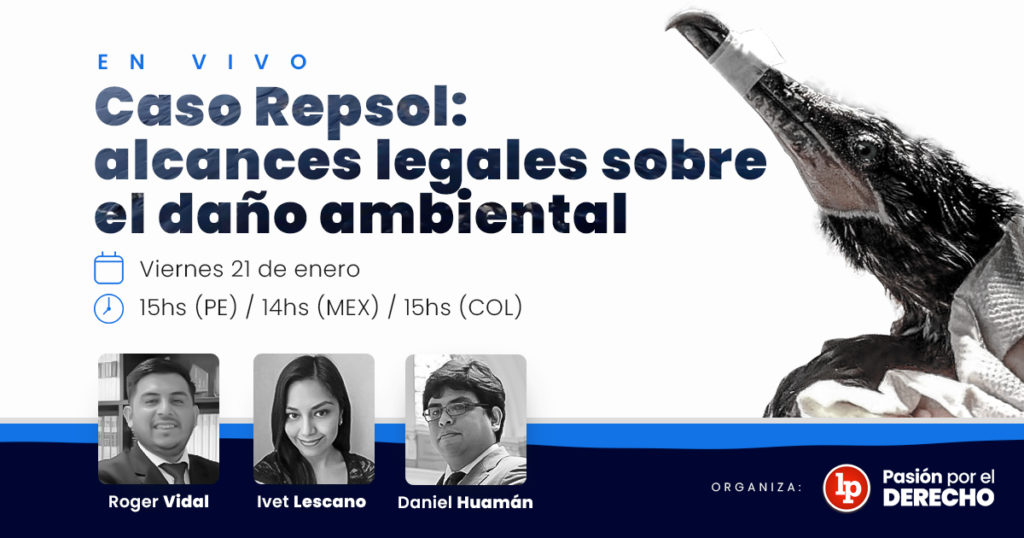 [VÍDEO] Caso Repsol: responsabilidad civil, administrativa y penal del ...