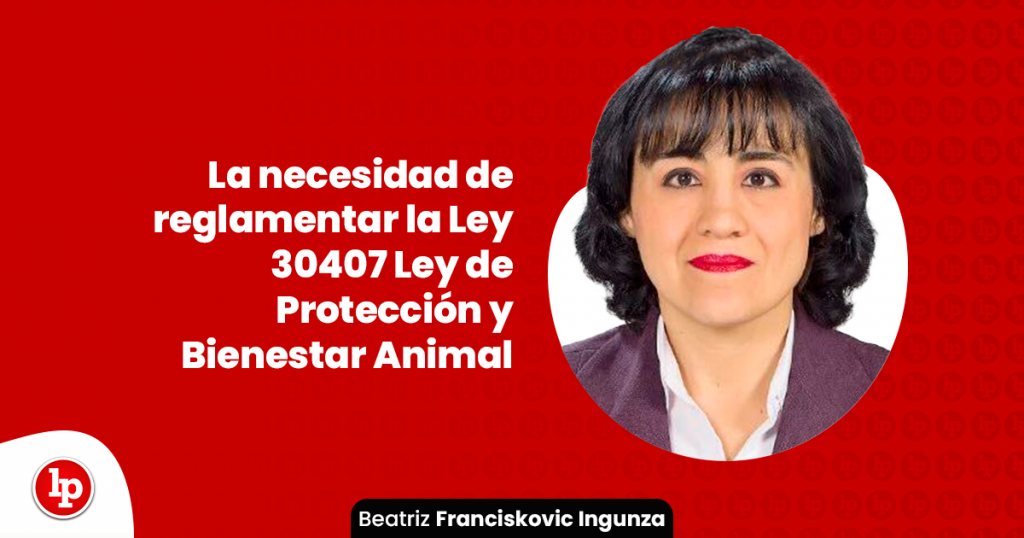La necesidad de reglamentar la Ley 30407, Ley de Protección y Bienestar Animal | LP