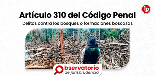 Artículo 310 del Código Penal Archivos | LP