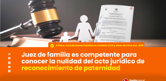 nulidad del acto jurídico Archivos | LP