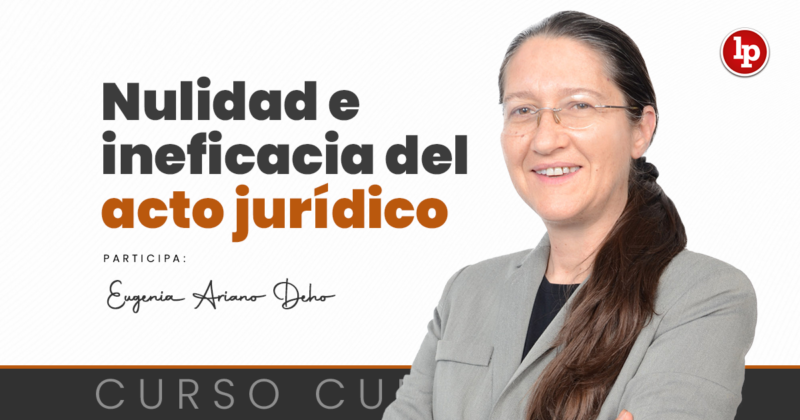 Curso Nulidad e ineficacia del acto jurídico. Inicio, 29 de agosto | LP