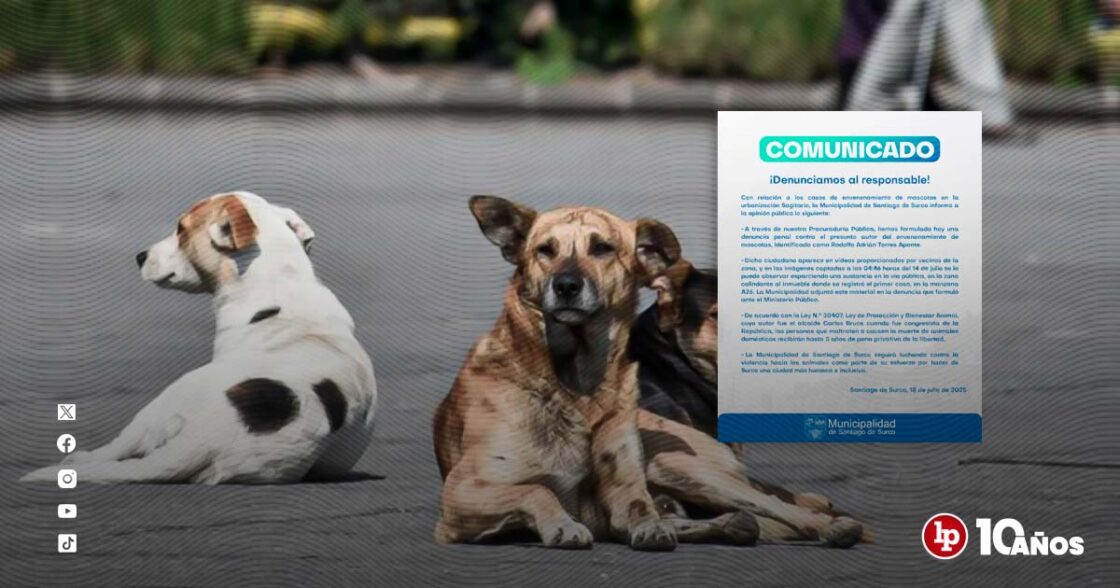 Denuncian penalmente a sujeto por envenenamiento masivo de perros: mayoría de víctimas eran ...